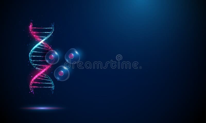 DNA Strand with Floating Stem Cells. Genetic Regulation, Cell ...