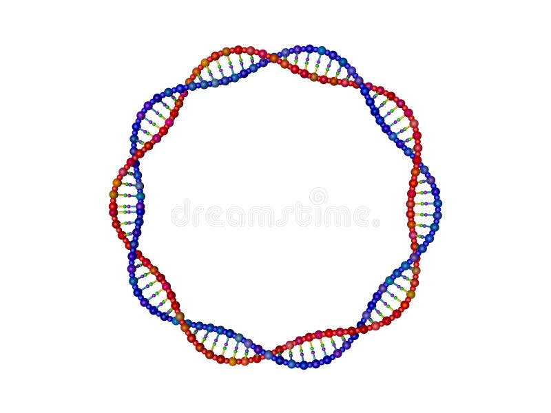 DNA Strand in Form of Circle. 3D Rendering Illustration Stock ...