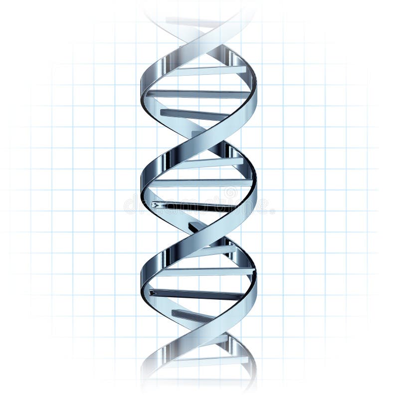 DNA Double helix drawing stock vector. Illustration of helix - 22499897