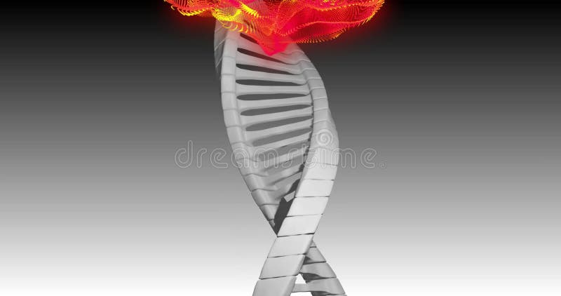 DNA Strand with Glowing Red and Yellow Data Processing Animation Stock ...