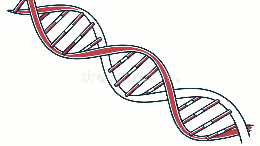 DNA Strand Helix, Genetic Code and Biology Science Illustration Vector ...