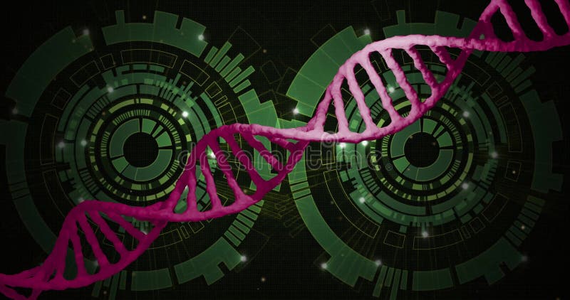 DNA Strand Image Over Green Digital Interface Background Stock ...