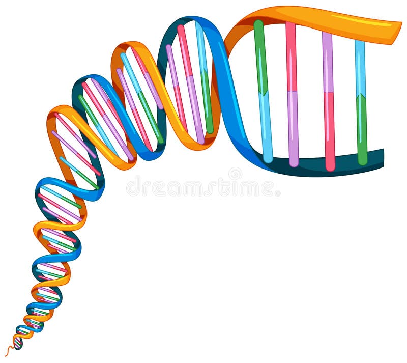 DNA strand in many colors stock vector. Illustration of white - 76864536