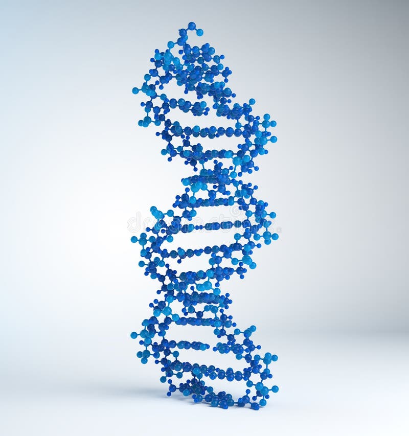 DNA strand model stock illustration. Illustration of life - 34242476