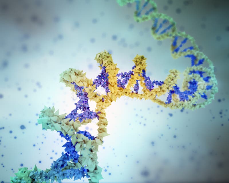 DNA strand model stock illustration. Illustration of chemistry - 26015388
