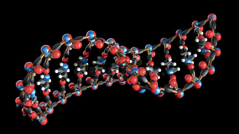 DNA Strand Model with Helix Molecular Structure, Spiral Genetic ...