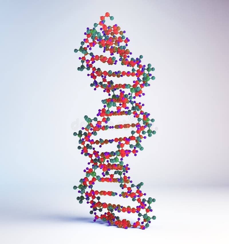 DNA strand model stock illustration. Illustration of life - 34242476