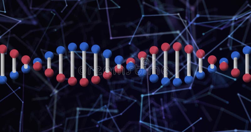 DNA Strand and Molecular Structure Image Over Network of Connections ...