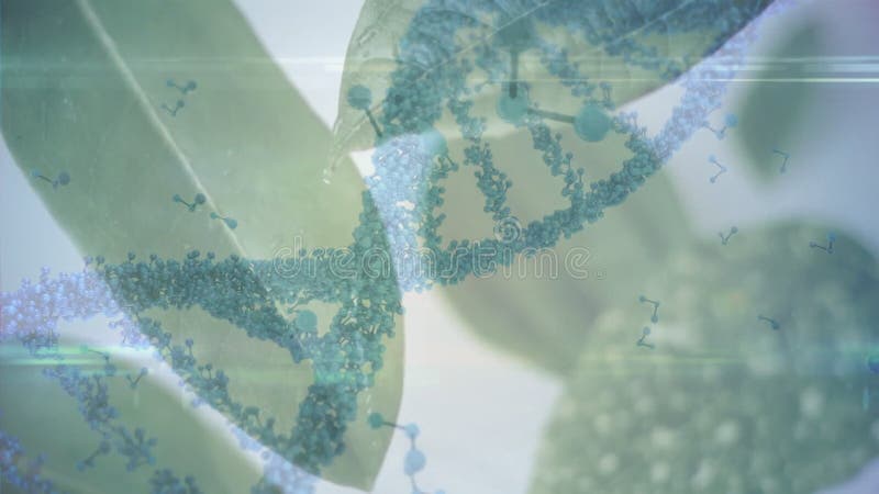 DNA Strand and Molecular Structures with Animation Over Green Leaves ...