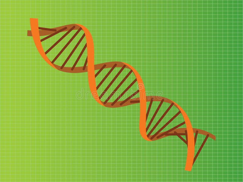 Dna Strand Orange Illustration Stock Vector - Illustration of bright ...