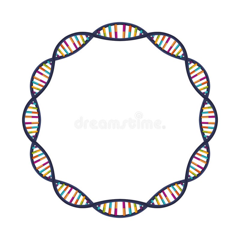 DNA Strand Sphere with Curves Stock Vector - Illustration of acid ...