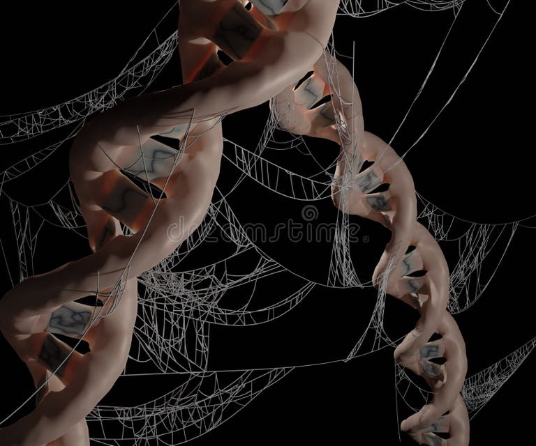 Dna Spider Stock Illustrations – 181 Dna Spider Stock Illustrations ...