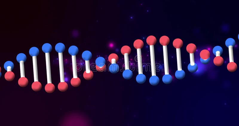 DNA Strand Structure Image with Red and Blue Spheres on Dark Background ...