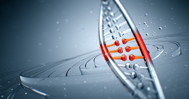 Dna Strand Structure Seamless Loopable Animation 8k 4k UHD Stock Video ...