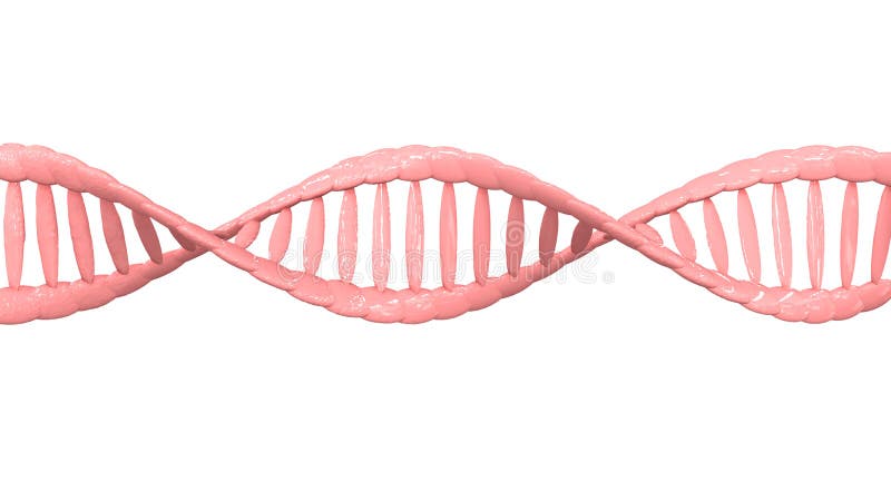 Pink Dna Strand Stock Illustrations – 145 Pink Dna Strand Stock ...