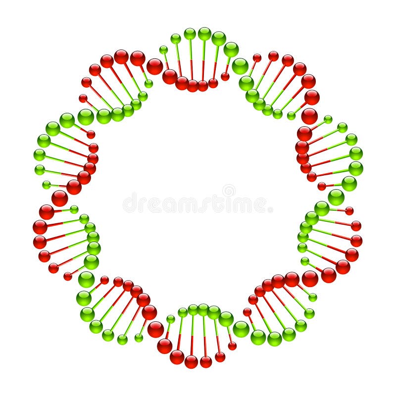 DNA Strands on circle stock vector. Illustration of helix - 11558374