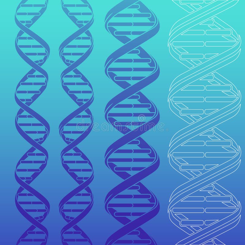 DNA strands stock illustration. Illustration of strand - 12142645