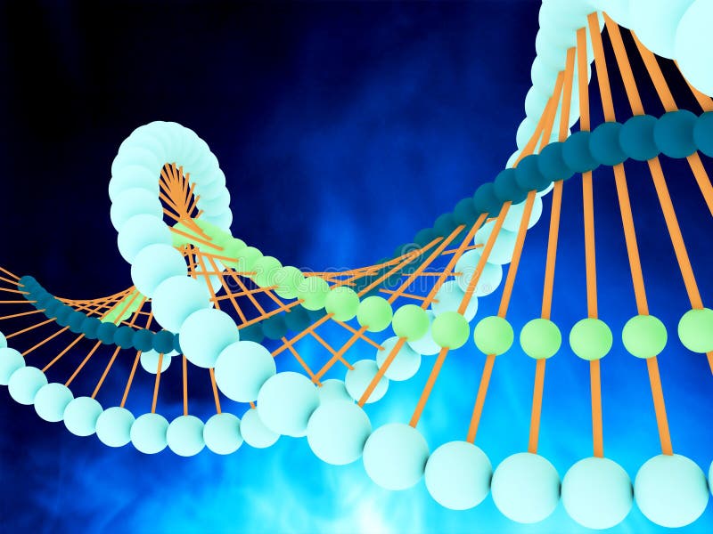 Colorful DNA Strands stock vector. Illustration of life - 37692254