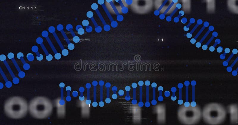 DNA Strands and Binary Code, Scientific Data Processing Animation Stock Footage - Video of ...
