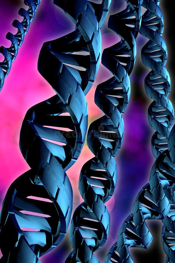 DNA Strands stock illustration. Illustration of helix - 60303200