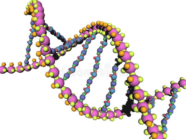DNA Strands of Genetic Material Twisted Stock Image - Image of turns ...