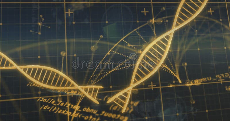 DNA Strands and Mathematical Equations Image Over Scientific Grid ...