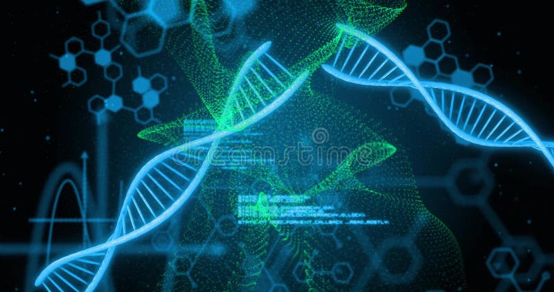 DNA Strands and Molecular Structures with Data Processing Image Stock ...