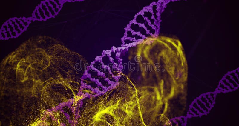 DNA Strands and Molecular Structures, Scientific Research Animation ...