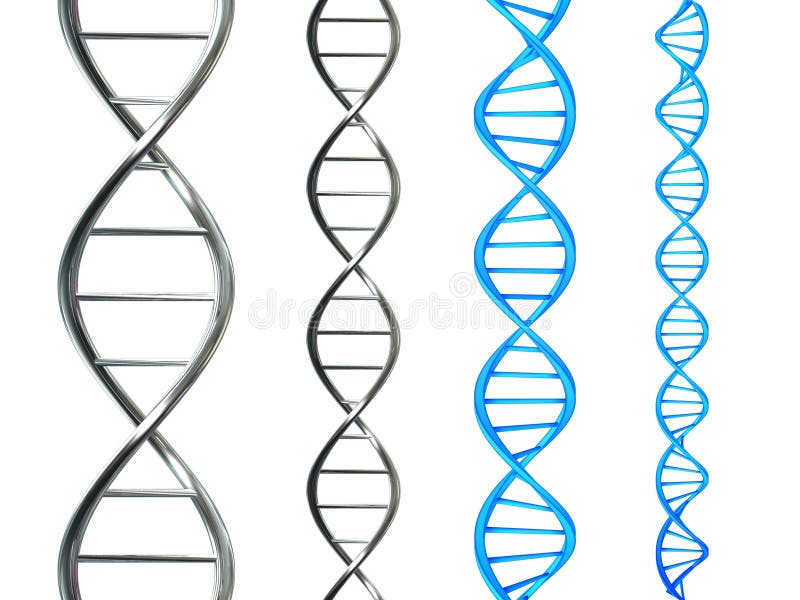 DNA-Strang stock abbildung. Illustration von nave, säure - 4157193