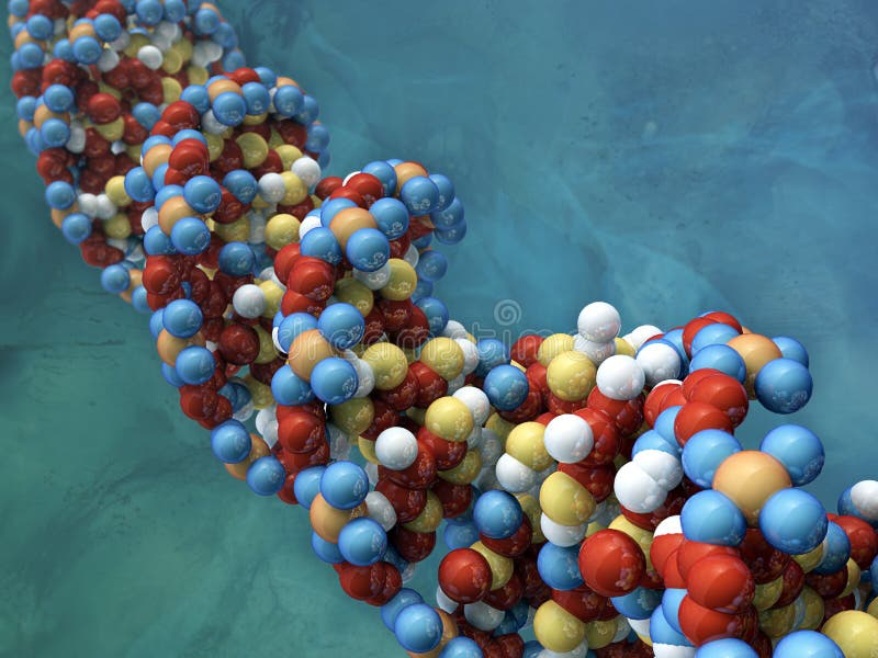 DNA-Strang stock abbildung. Illustration von genetisch - 8222533
