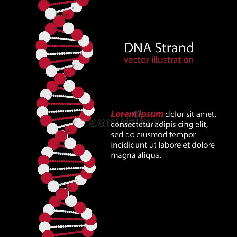 DNA-Strang, Genetischer Code Vektor Abbildung - Illustration von ...