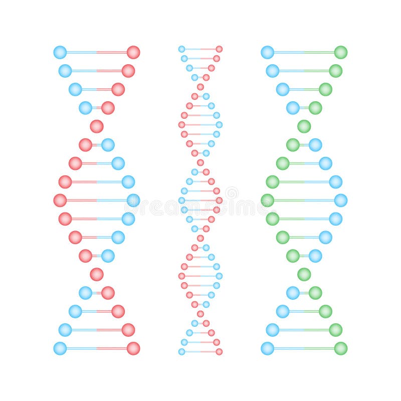 DNA-Strangsymbol. DNA-Genetik. Vektorvorratillustration Vektor ...