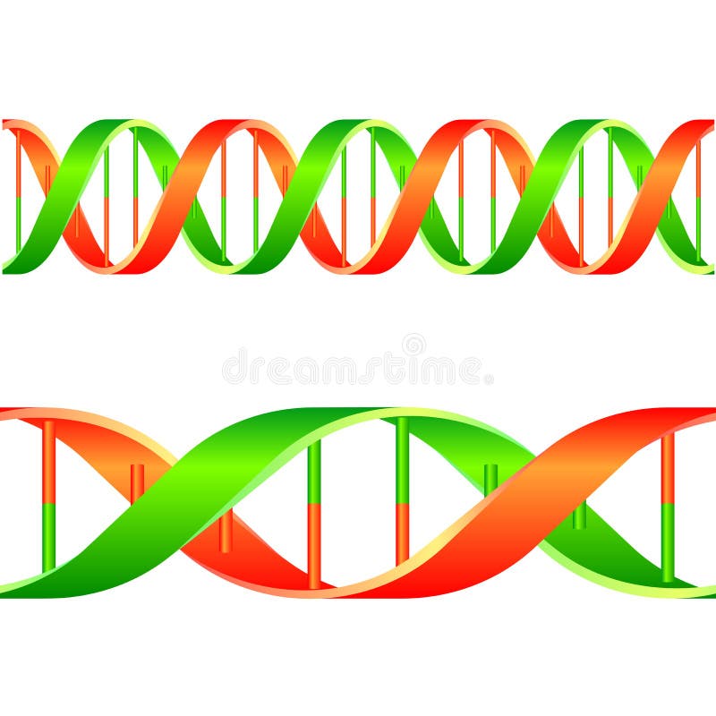 DNA, Genetic Symbol - People, Man and Woman Icon Stock Vector ...