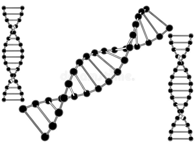 Dna String Isolated Illustration Vector Stock Illustrations – 31 Dna ...