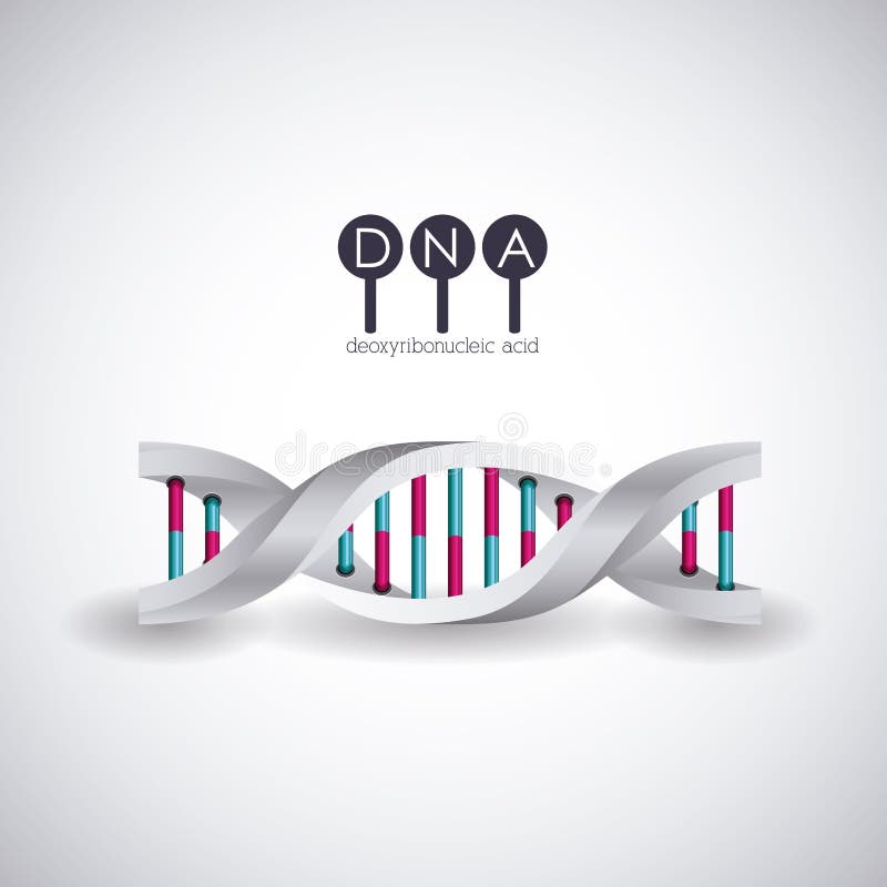 Dna Structure Chromosome Design Stock Vector - Illustration of molecule ...