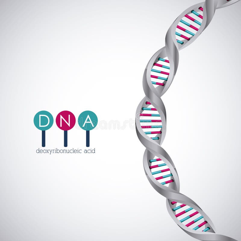 Dna Structure Chromosome Design Stock Vector - Illustration of research ...