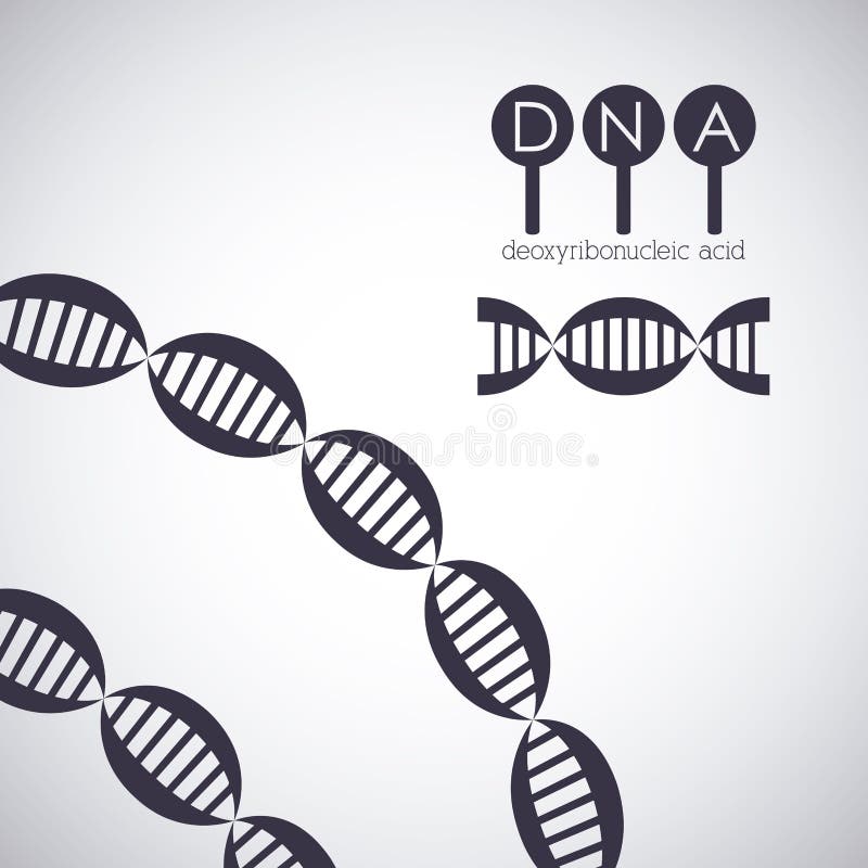 Dna Structure Chromosome Design Stock Vector - Illustration of ...