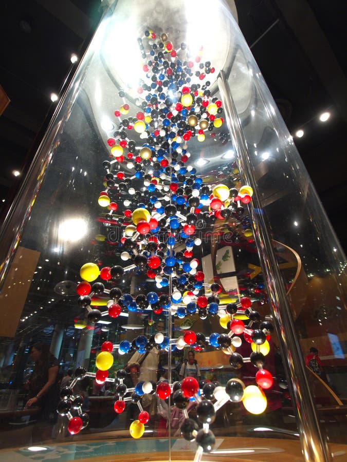 Dna Structure in Hong Kong Science Museum Editorial Stock Image - Image ...
