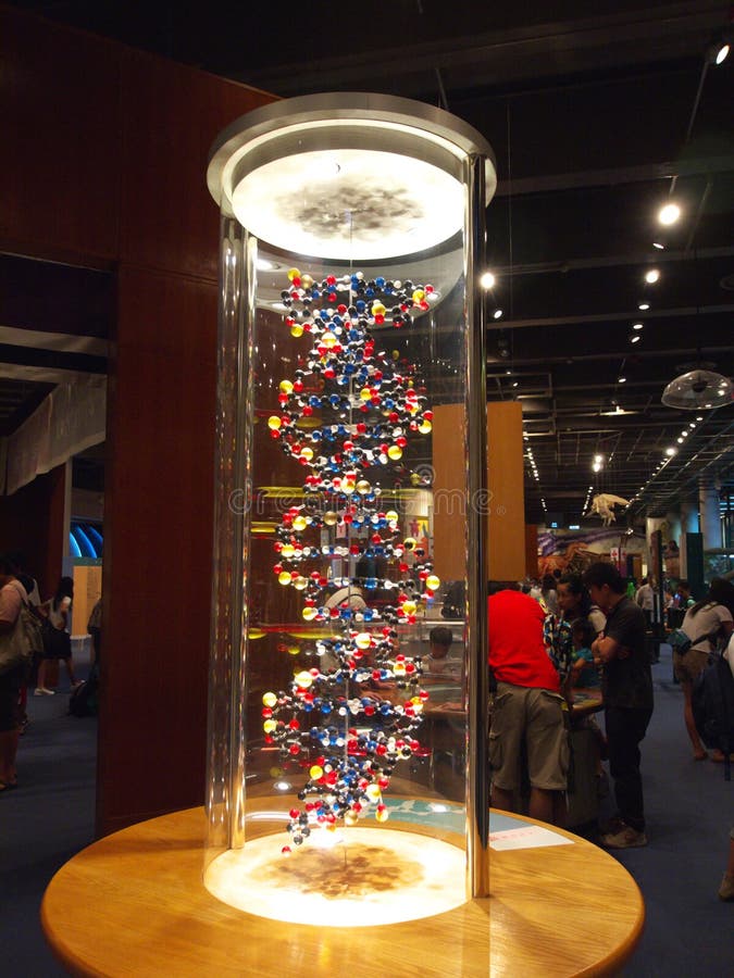 Dna Structure in Hong Kong Science Museum Editorial Photo - Image of ...