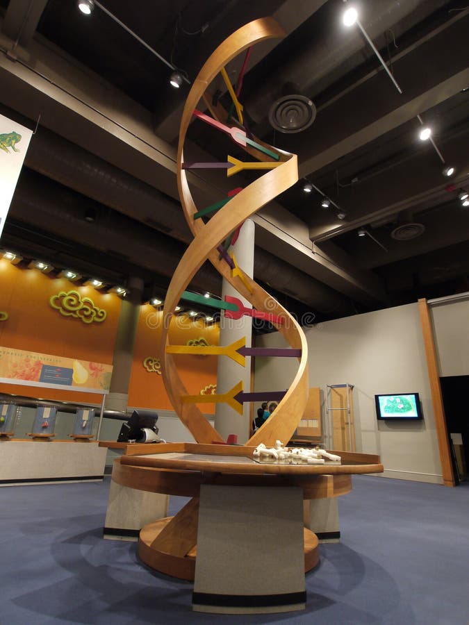 Dna Structure in Hong Kong Science Museum Editorial Stock Image - Image ...
