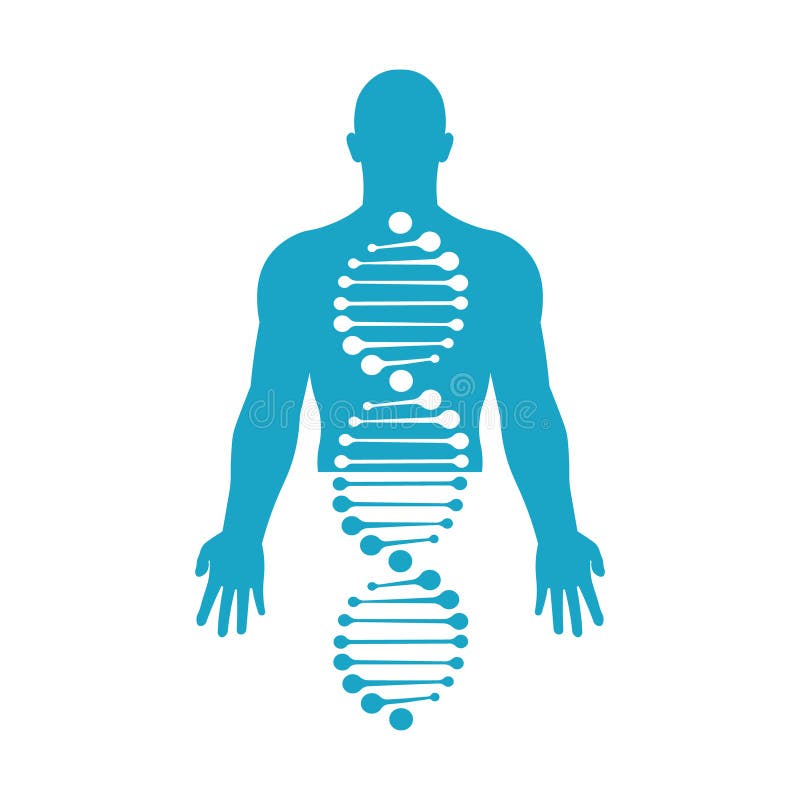 DNA Structure in Human Body Icon. Stock Illustration - Illustration of ...