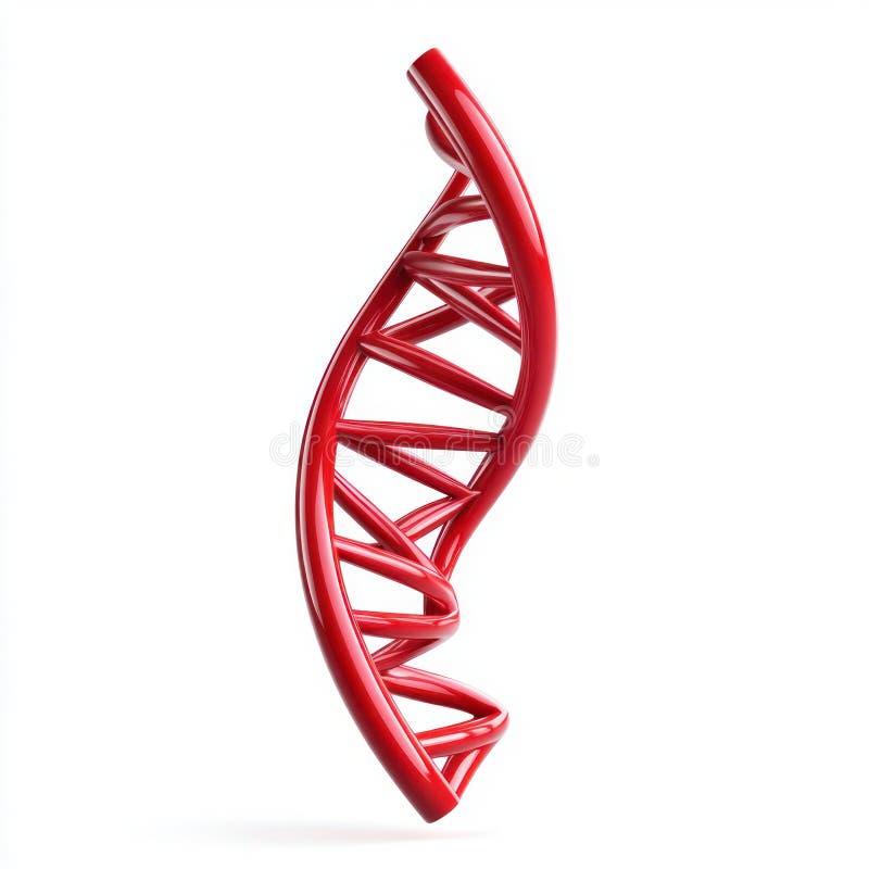 DNA Structure Isolated on White Background Stock Illustration ...