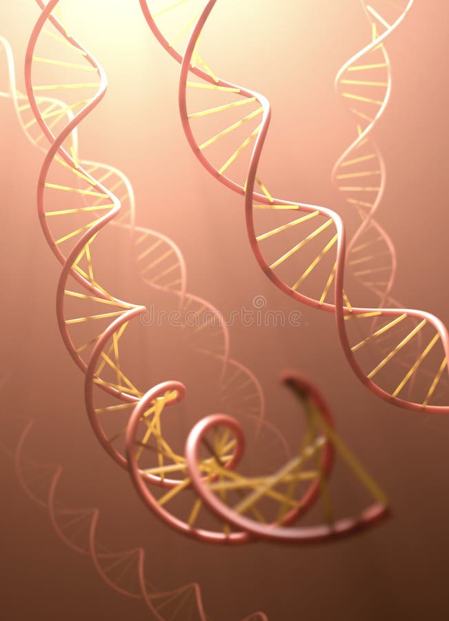 DNA Structure stock photo. Image of medical, scientist - 38849150