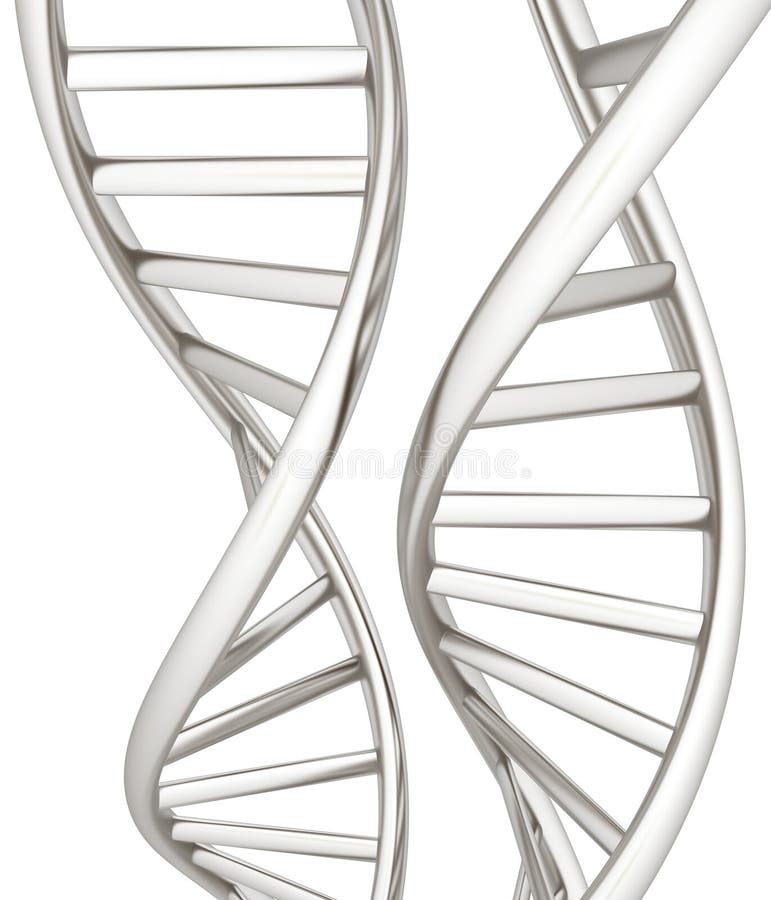 DNA structure model. stock illustration. Illustration of cell - 126514497