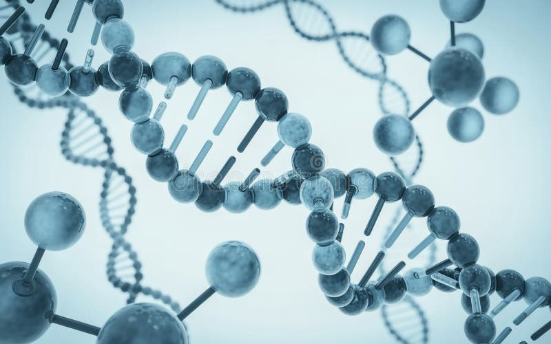 DNA Structure with 3D Molecular Models in Medical Illustration Stock ...