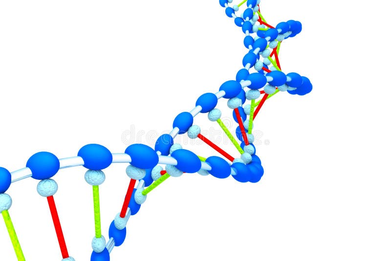 DNA structure stock illustration. Illustration of isolated - 189547569