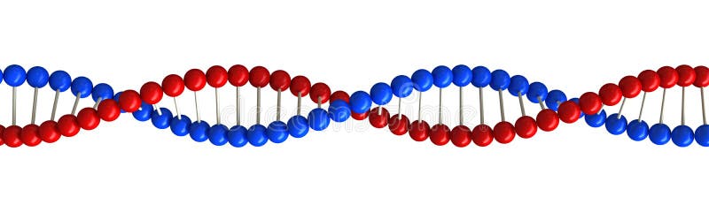 DNA-structuur stock illustratie. Illustration of illustratie - 32273103