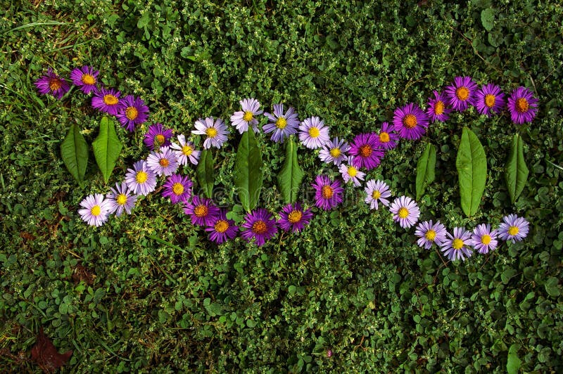 576 Dna Purple Background Stock Photos - Free & Royalty-Free Stock ...