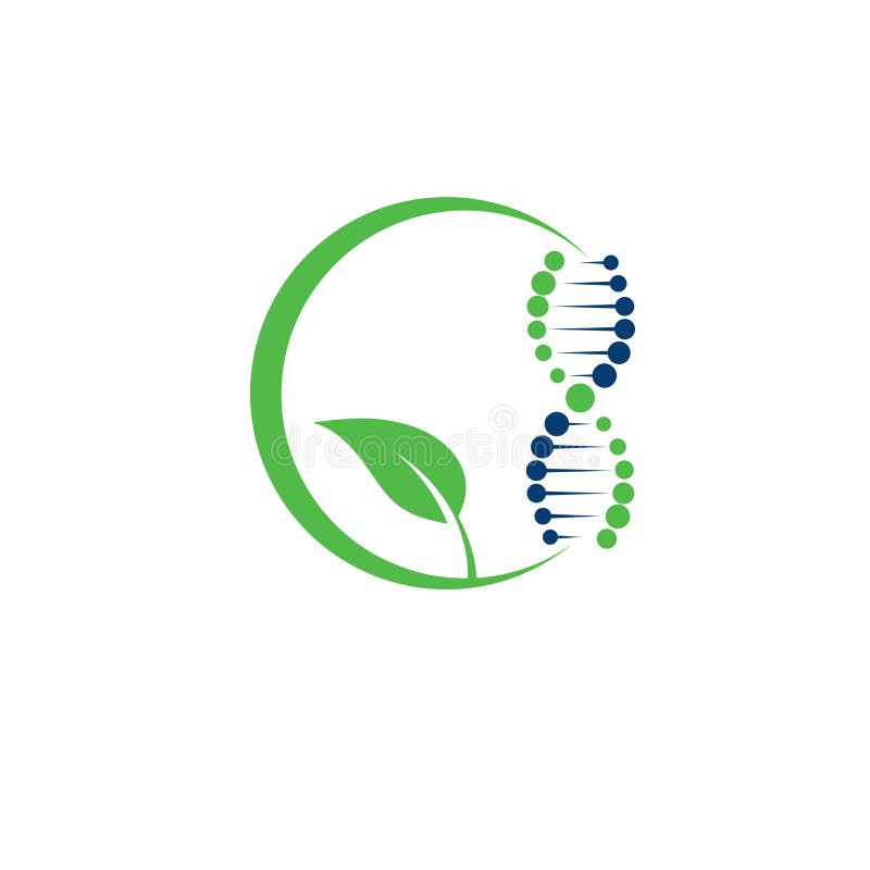 DNA Symbol Strand Isolated On White Background Stock Vector ...