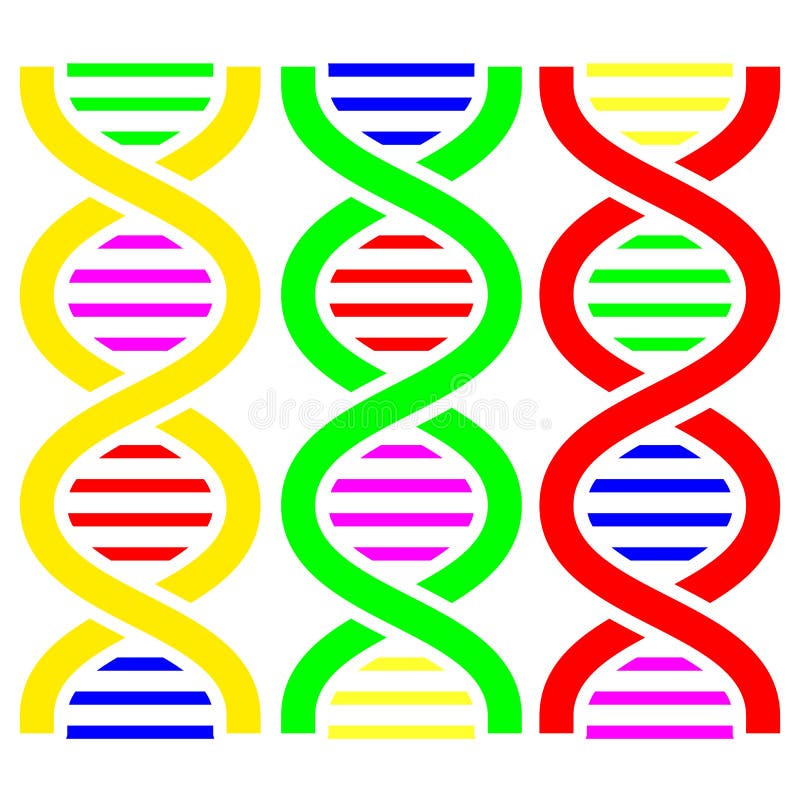 DNA Symbols stock vector. Illustration of structure, chromosome - 35910726